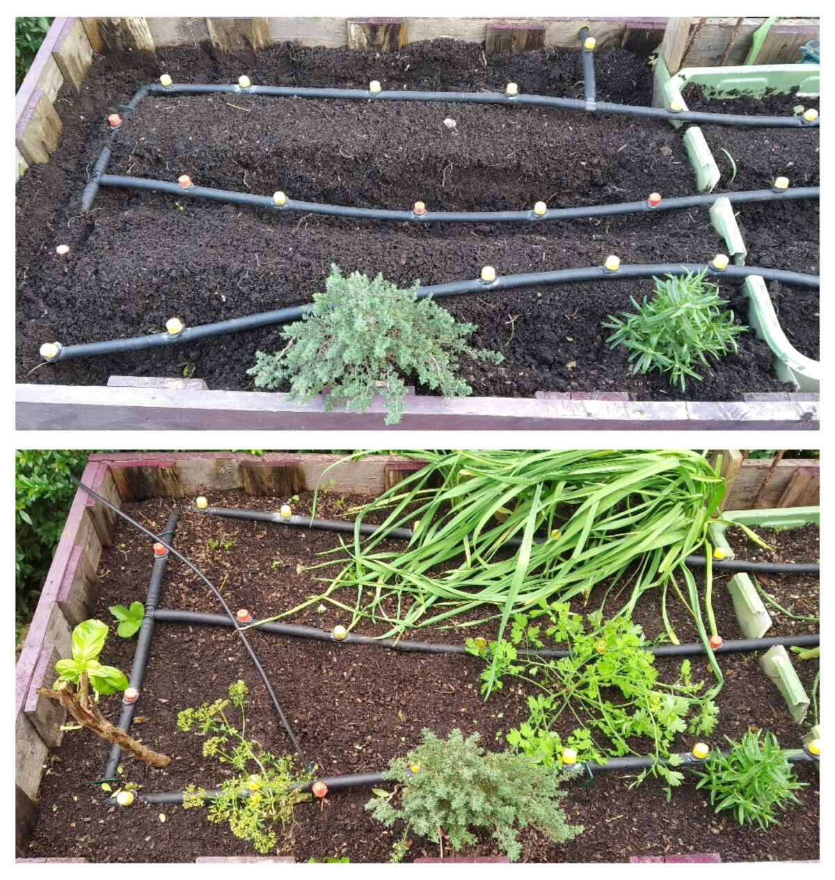 Esquema De Riego Casero