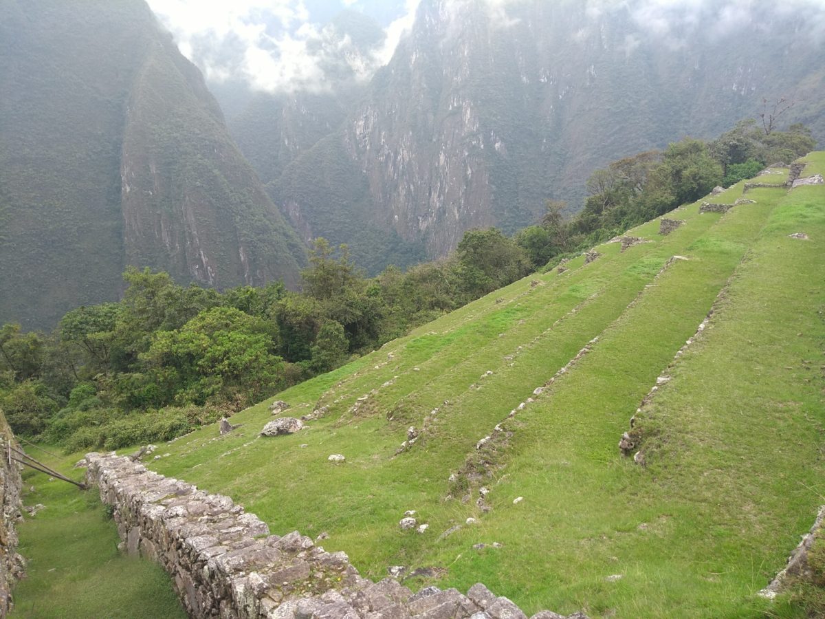 Cultivos incas en Machu Picchu: descubre sus secretos