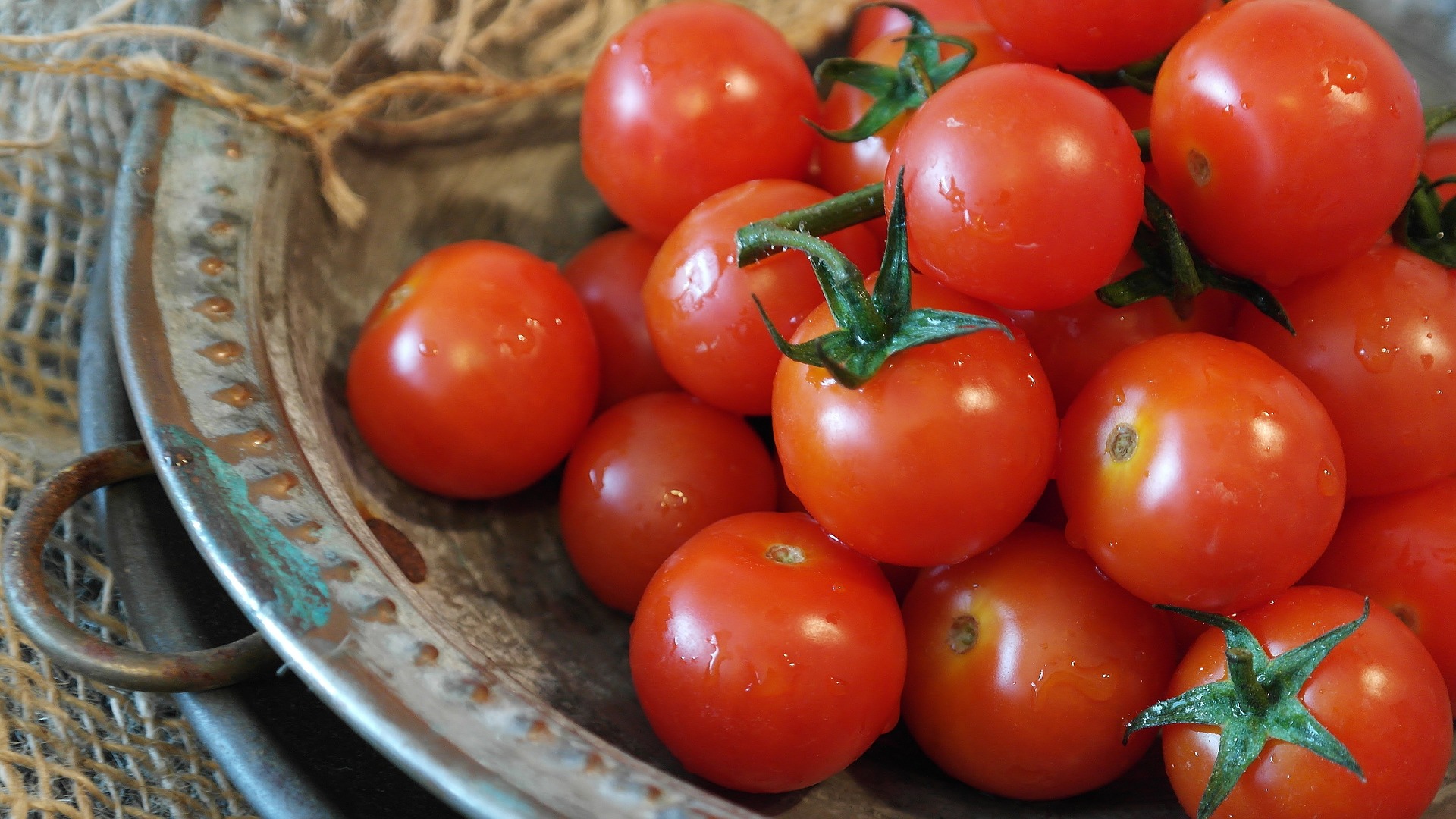 Cómo cultivar tomates en casa. Guía paso a paso